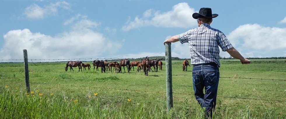 Texas Marijuana Laws in 2020 | Medical Marijuana, Inc.